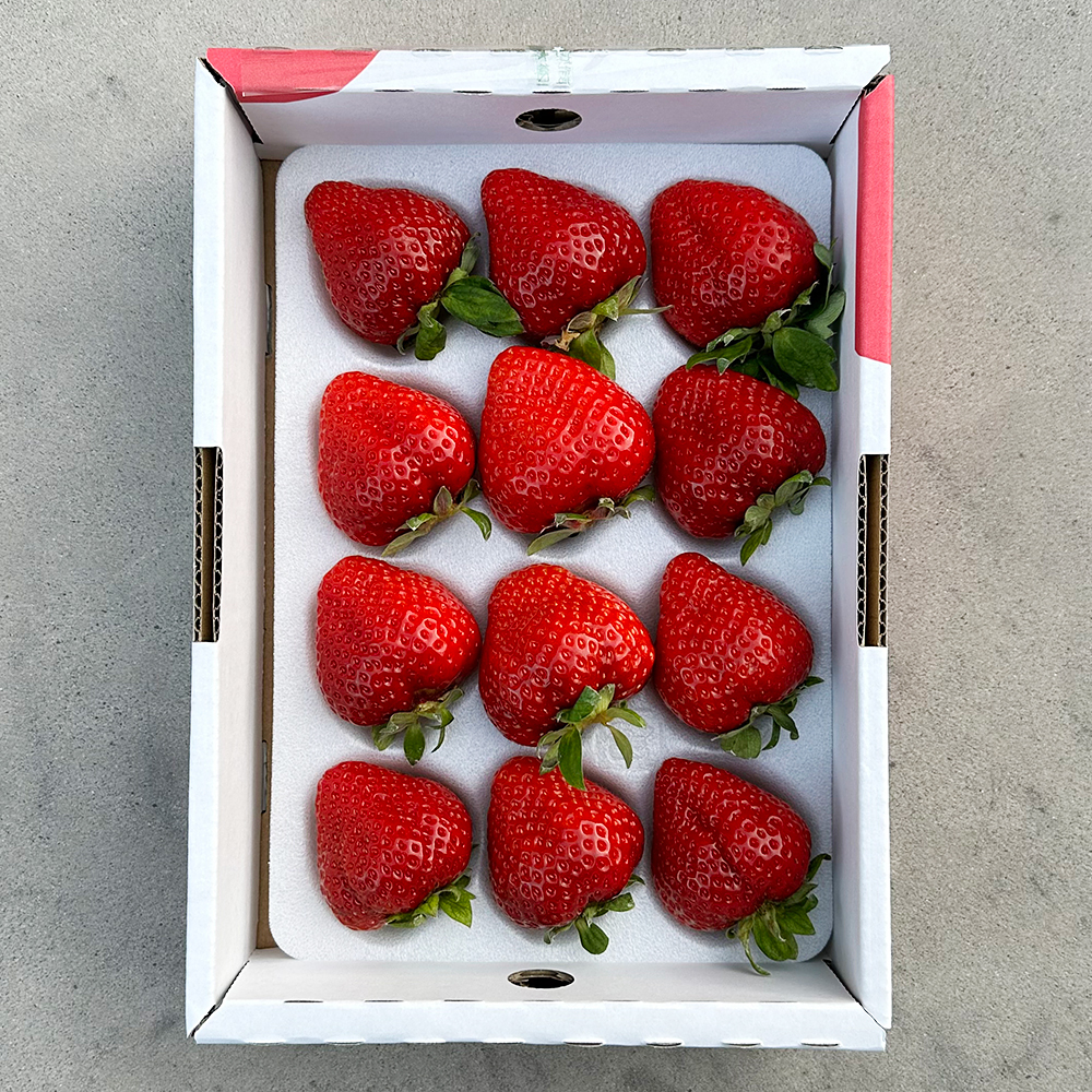 福岡県産 あまおう苺Excellent（9粒～12粒） | 商品詳細 | 高島屋オンラインストア