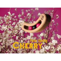 FAVA（ファーヴァ） Four Seasons（春） | 商品詳細 | 高島屋オンラインストア