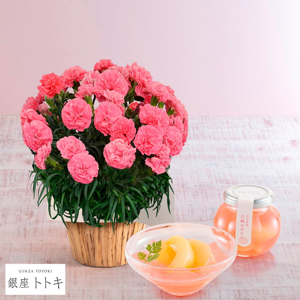 母の日】カーネーションピンク&山形県産白桃のゼリー | 商品 母の日】カーネーションピンク&山形県産白桃のゼリー | 商品